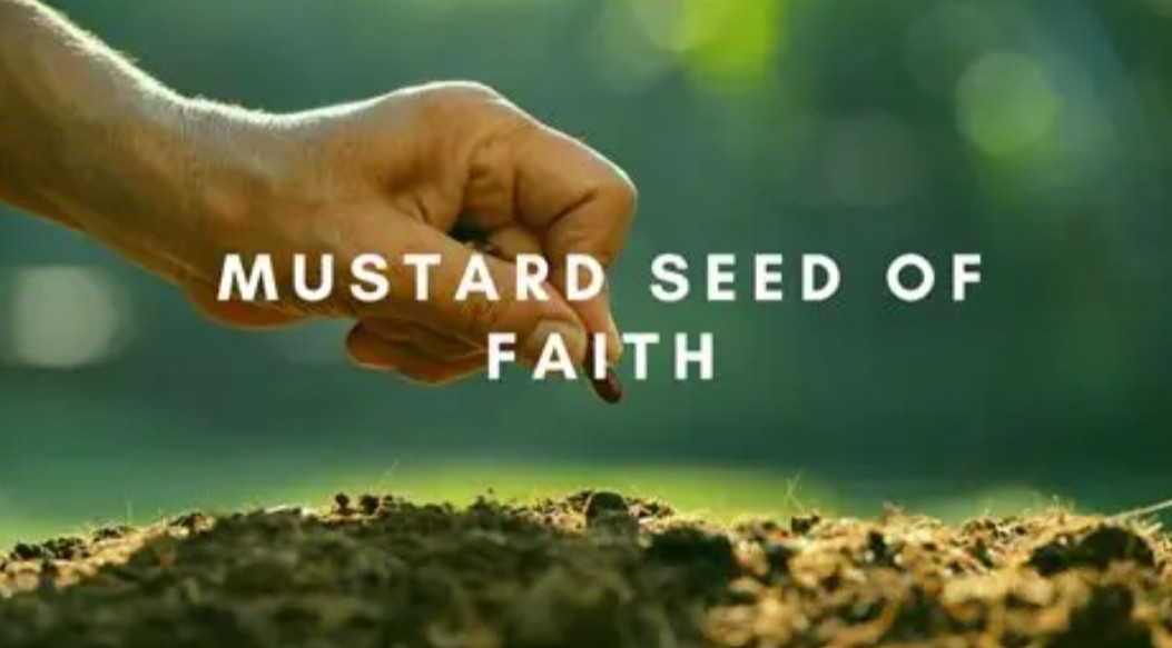 Homily – Luke 17:5-10 – Rev. Fr Philip Wrigley's Blog